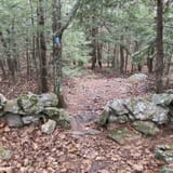 Bauneg Beg Middle Mountain Trail, Maine - 999 Reviews, Map | AllTrails