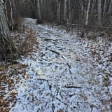 Amisk Wuche Trail, Alberta, Canada - 513 Reviews, Map | AllTrails