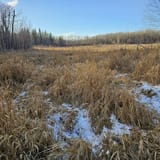 Amisk Wuche Trail, Alberta, Canada - 513 Reviews, Map | AllTrails