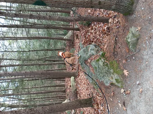 Best Hikes and Trails in Dunn State Park | AllTrails