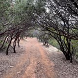 Dragoon Gulch Trail, California - 923 Reviews, Map | AllTrails