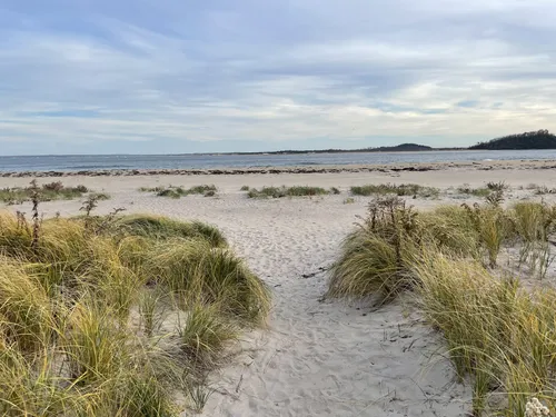 Best Hikes and Trails in Sandy Point State Reservation | AllTrails