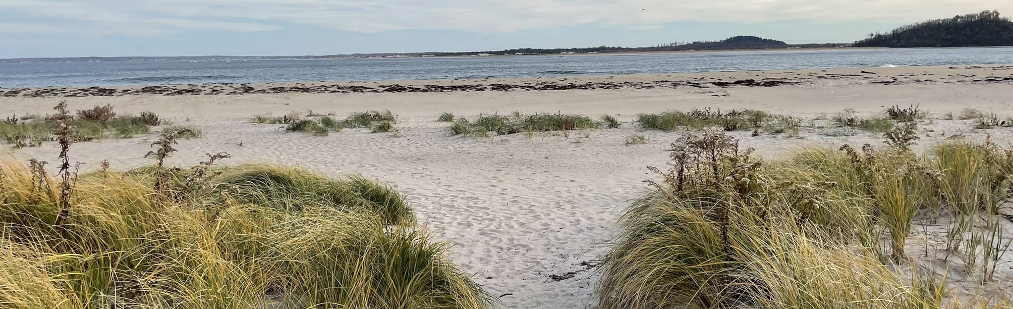 Sandy Point Beach Access Trail, Massachusetts - 4 Reviews, Map | AllTrails