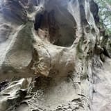Tafoni Sandstone Formation via Tafoni, Fir, and Methuselah Loop ...