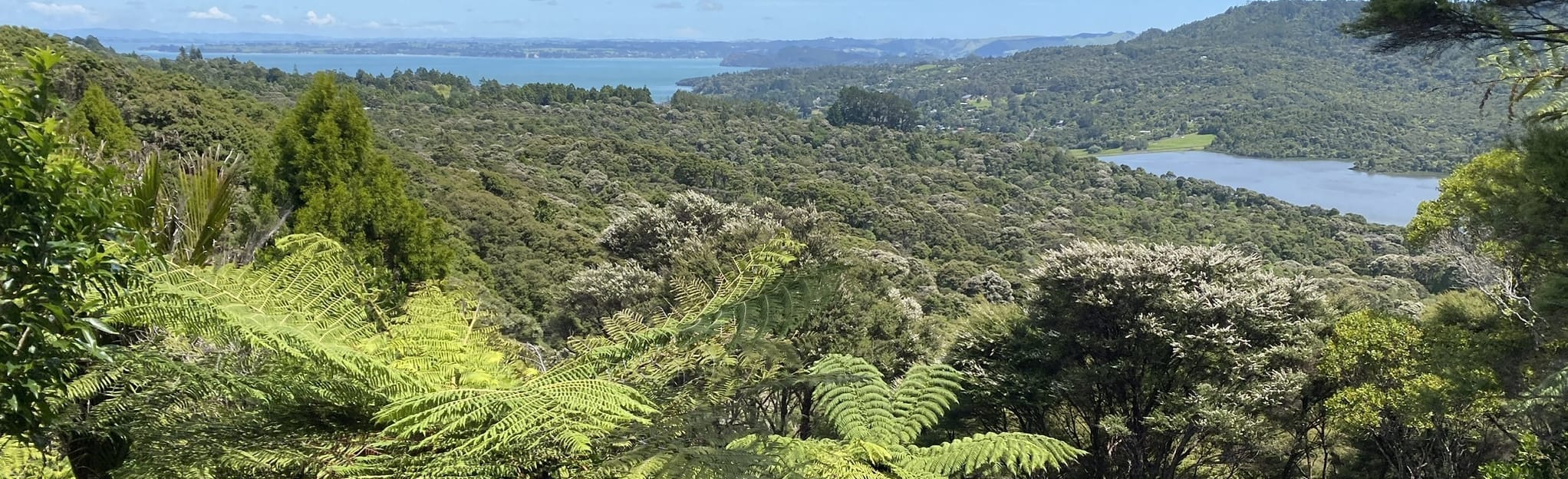 Beveridge to Arataki Path, Auckland, New Zealand - 122 Reviews, Map ...