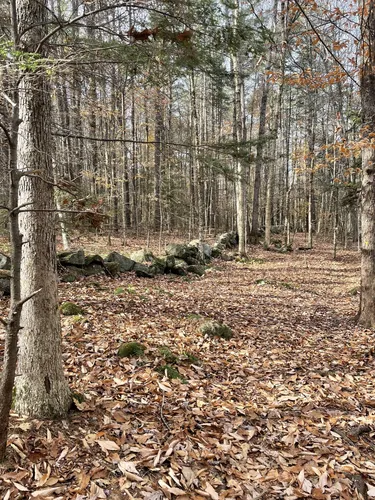 Best Hikes and Trails in Chamberlain-Reynolds Memorial Forest | AllTrails