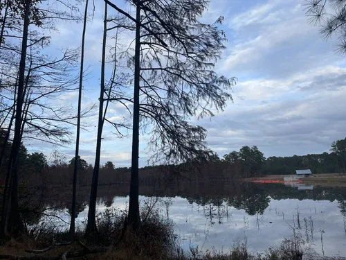 2023 Best Kid Friendly Trails in Spring Lake | AllTrails