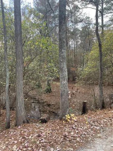 2023 Best Kid Friendly Trails in Spring Lake | AllTrails