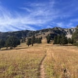 Bridger Bowl Ridge Trail, Montana - 124 Reviews, Map | AllTrails