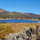 Stanfield Preserve Boardwalk, California - 610 Reviews, Map | AllTrails