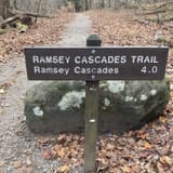 Ramsey Cascades Trail, Tennessee - 2,173 Reviews, Map | AllTrails