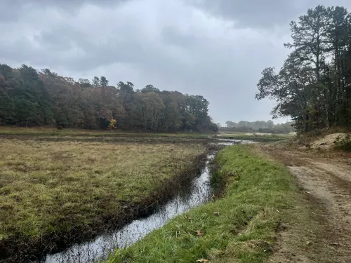 Best Hikes and Trails in Red Brook Pond Conservation Area | AllTrails