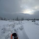 Summit Trail to Wickersham Dome, Alaska - 232 Reviews, Map | AllTrails