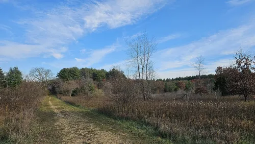 Best Hikes and Trails in Lowden-Miller State Forest | AllTrails