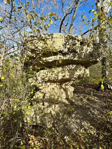 Best Hikes and Trails in Greens Coulee Nature Preserve | AllTrails