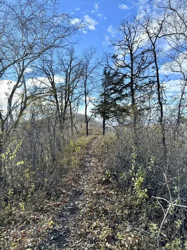 Best Hikes and Trails in Greens Coulee Nature Preserve | AllTrails