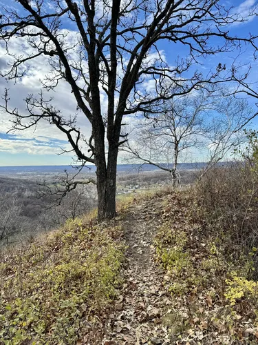 Best Hikes and Trails in Greens Coulee Nature Preserve | AllTrails