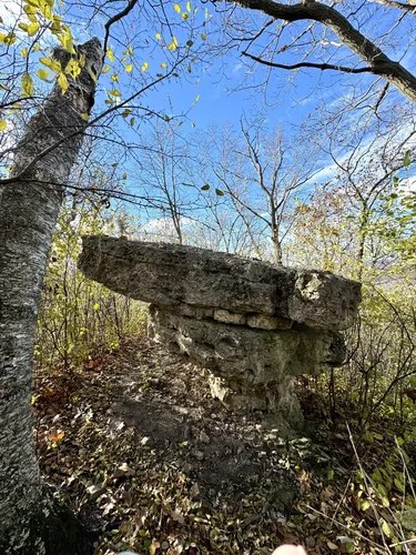 Best Hikes and Trails in Greens Coulee Nature Preserve | AllTrails