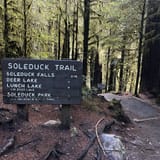 Sol Duc Falls Trail, Washington - 4,418 Reviews, Map | AllTrails