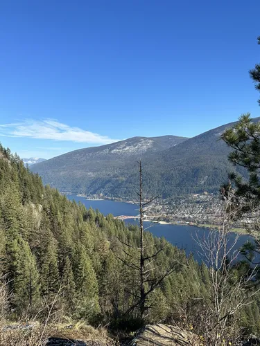 Best Dog Friendly Trails in Nelson | AllTrails