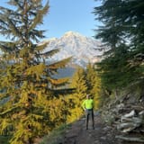 Rampart Ridge Loop, Washington - 2,039 Reviews, Map | AllTrails