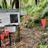 Wodi Wodi Track, New South Wales, Australia - 226 Reviews, Map | AllTrails