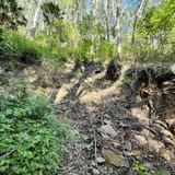 Wodi Wodi Track, New South Wales, Australia - 226 Reviews, Map | AllTrails