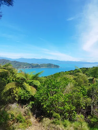 10 Best Hikes and Trails in Abel Tasman National Park | AllTrails