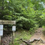 Big Lost Cove Cliffs Trail, North Carolina - 539 Reviews, Map | AllTrails