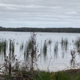 Devilbend Reservoir Loop, Victoria, Australia - 362 Reviews, Map ...