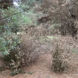 Devilbend Reservoir Loop, Victoria, Australia - 362 Reviews, Map ...