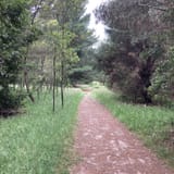 Devilbend Reservoir Loop, Victoria, Australia - 362 Reviews, Map ...