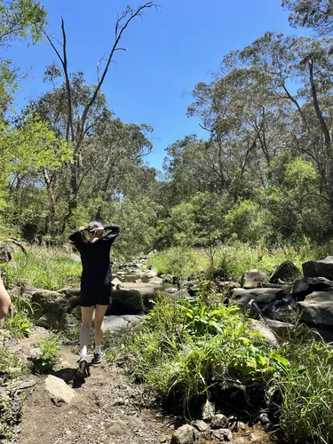 Best Hikes and Trails in Yarran Dheran | AllTrails