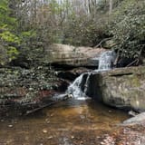 Raven Rock Loop Trail, South Carolina - 2,094 Reviews, Map | AllTrails