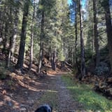 Spaulding Lake Trail, California - 1,261 Reviews, Map | AllTrails