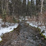 Karst Spring Trail, Alberta, Canada - 840 Reviews, Map | AllTrails