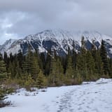 Karst Spring Trail, Alberta, Canada - 866 Reviews, Map | AllTrails