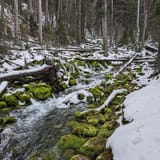 Karst Spring Trail, Alberta, Canada - 866 Reviews, Map | AllTrails