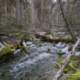 Karst Spring Trail, Alberta, Canada - 866 Reviews, Map | AllTrails