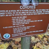 Cooks Butte Loop, Oregon - 399 Reviews, Map | AllTrails