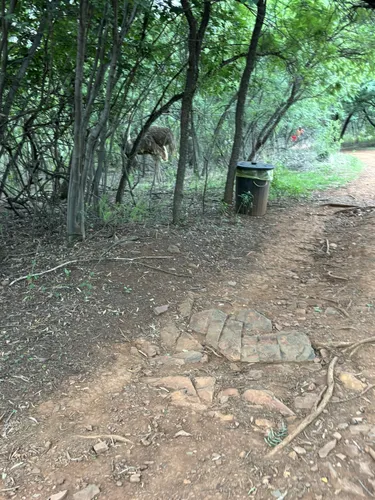 Best Hikes and Trails in Moreleta Kloof Nature Reserve | AllTrails