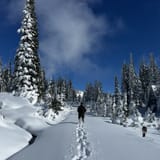 Myrtle Falls Viewpoint via Skyline Trail, Washington - 3,772 Reviews ...