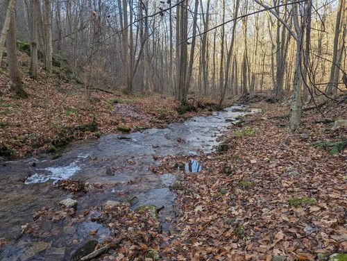 Best Walking Trails in Roaring Run Natural Area | AllTrails