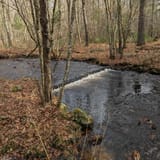 Stepstone Falls via Ben Utter Trail, Rhode Island - 1,546 Reviews, Map ...