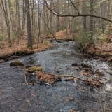 Stepstone Falls via Ben Utter Trail, Rhode Island - 1,546 Reviews, Map ...