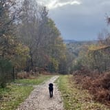 Chopwell Woods and River Derwent Circular, Tyne and Wear, England - 313 ...