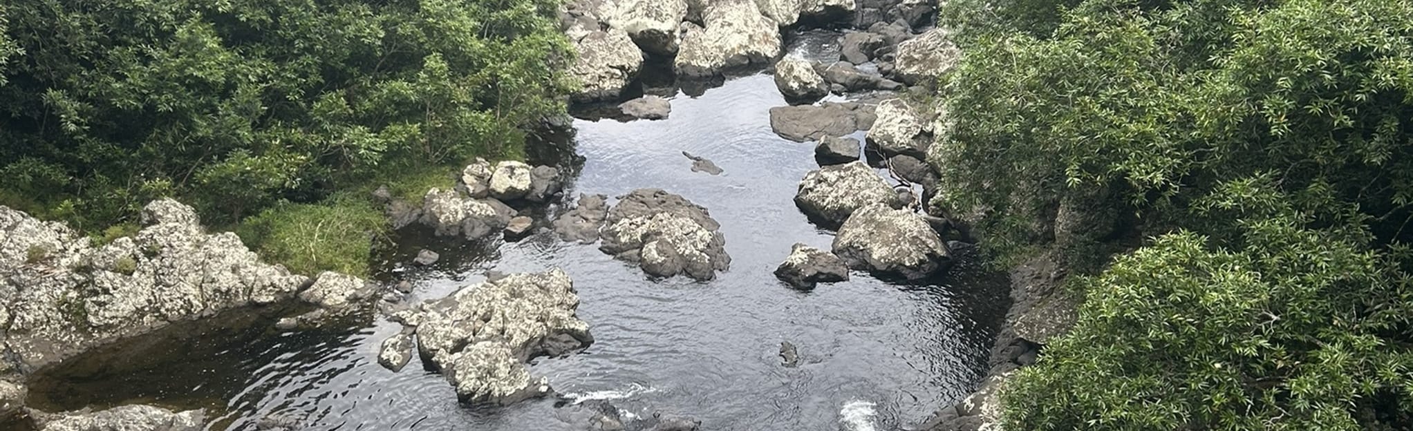 Da Bassin-Boeuf a Bassin-Pilon: 22 foto - Saint-Denis, Riunione | AllTrails