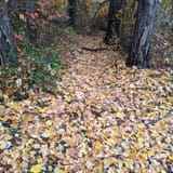 Mogadore Reservoir via Buckeye Trail, Ohio - 496 Reviews, Map | AllTrails