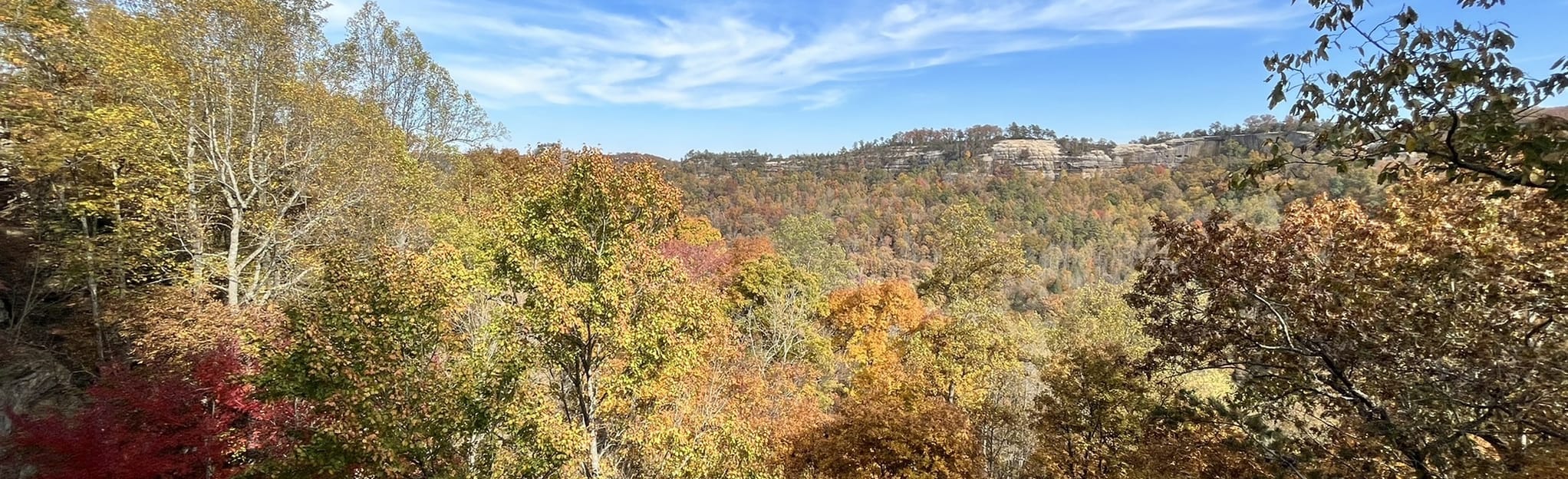 Double Arch Trail, Kentucky - 1,031 Reviews, Map | AllTrails