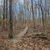 Spring Hill Yellow and Blue Loop Trail, Massachusetts - 250 Reviews ...